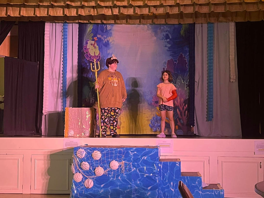 DBackdrop Custom Theater Backdrop CT1