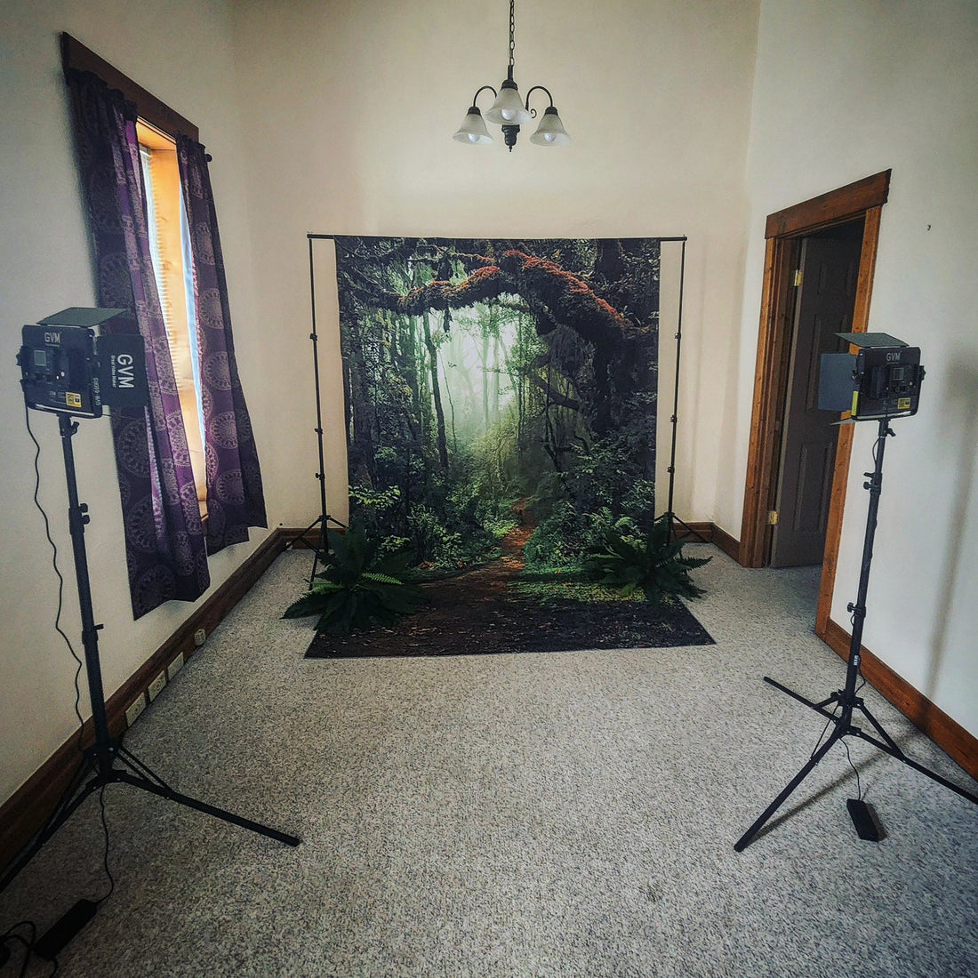 Forest Big Tree Road Photography Backdrop G-477