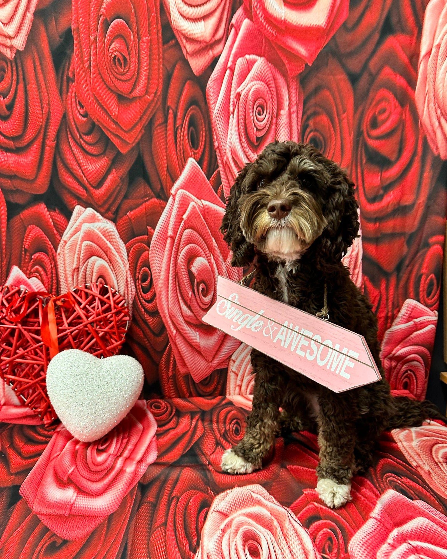 Red Rose Flower Backdrop for Photo Studio ZH-94