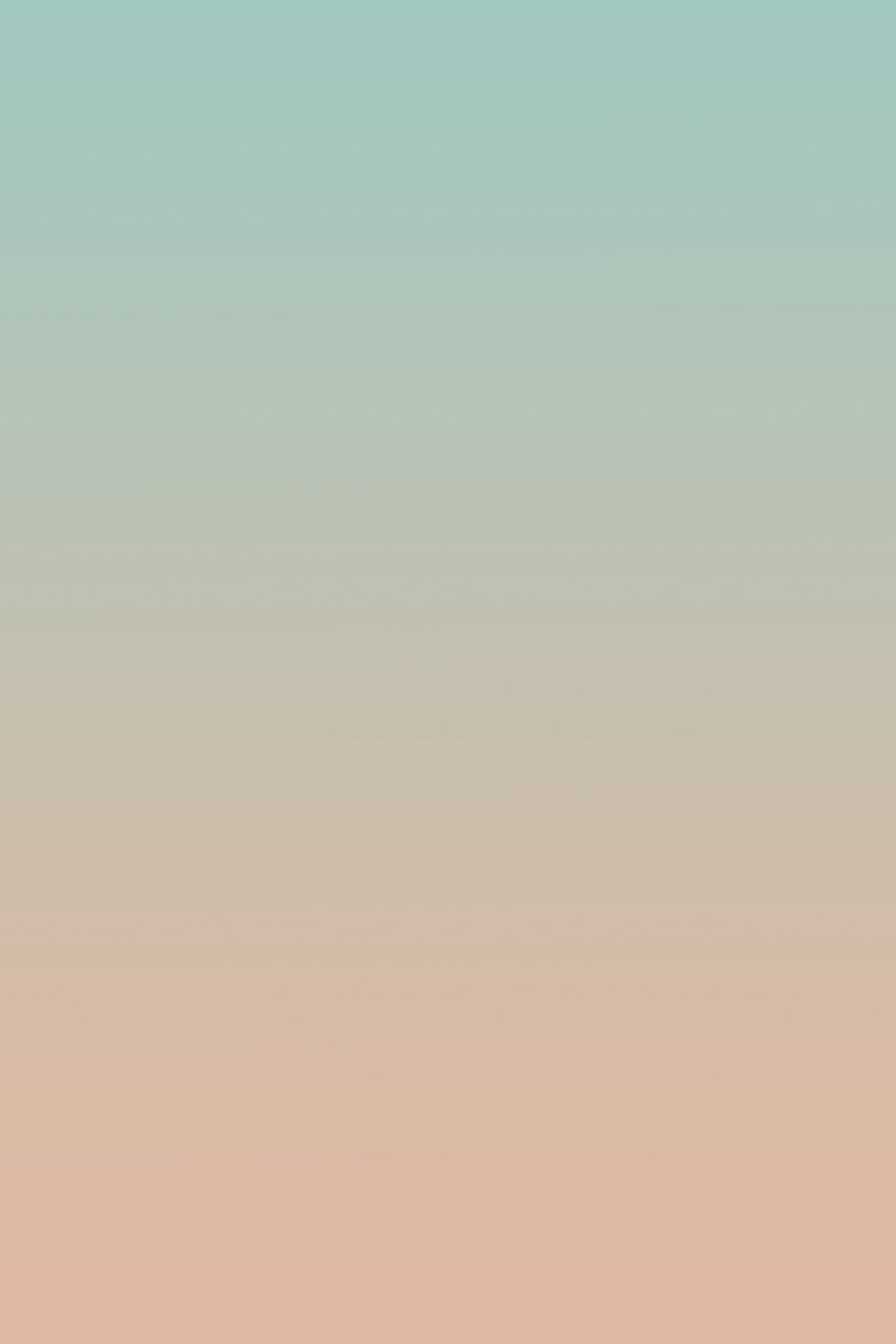 Backdrops For Portraits Mint Pink Gradient Photography Backdrop BRP11-