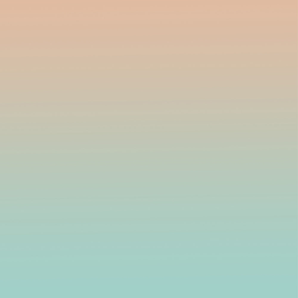 Portrait Photography Backdrop Gradient Blush Green Studio Backdrop BRP