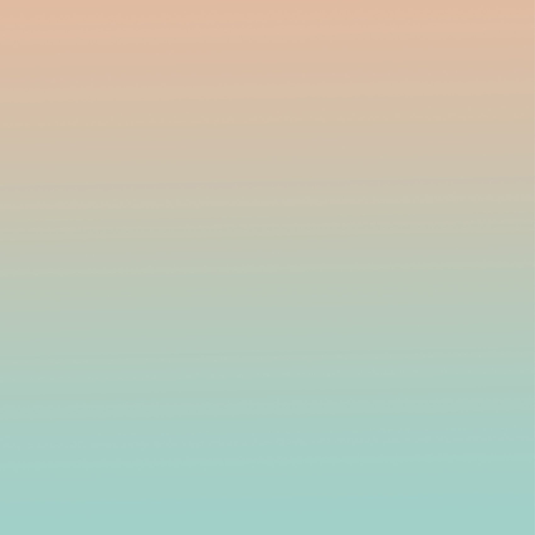 Portrait Photography Backdrop Gradient Blush Green Studio Backdrop BRP