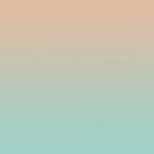 Portrait Photography Backdrop Gradient Blush Green Studio Backdrop BRP