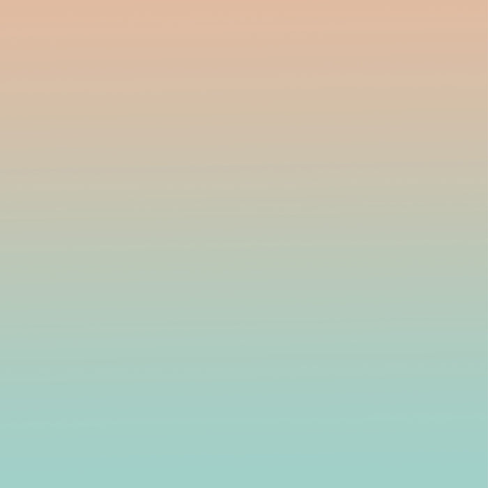 Portrait Photography Backdrop Gradient Blush Green Studio Backdrop BRP