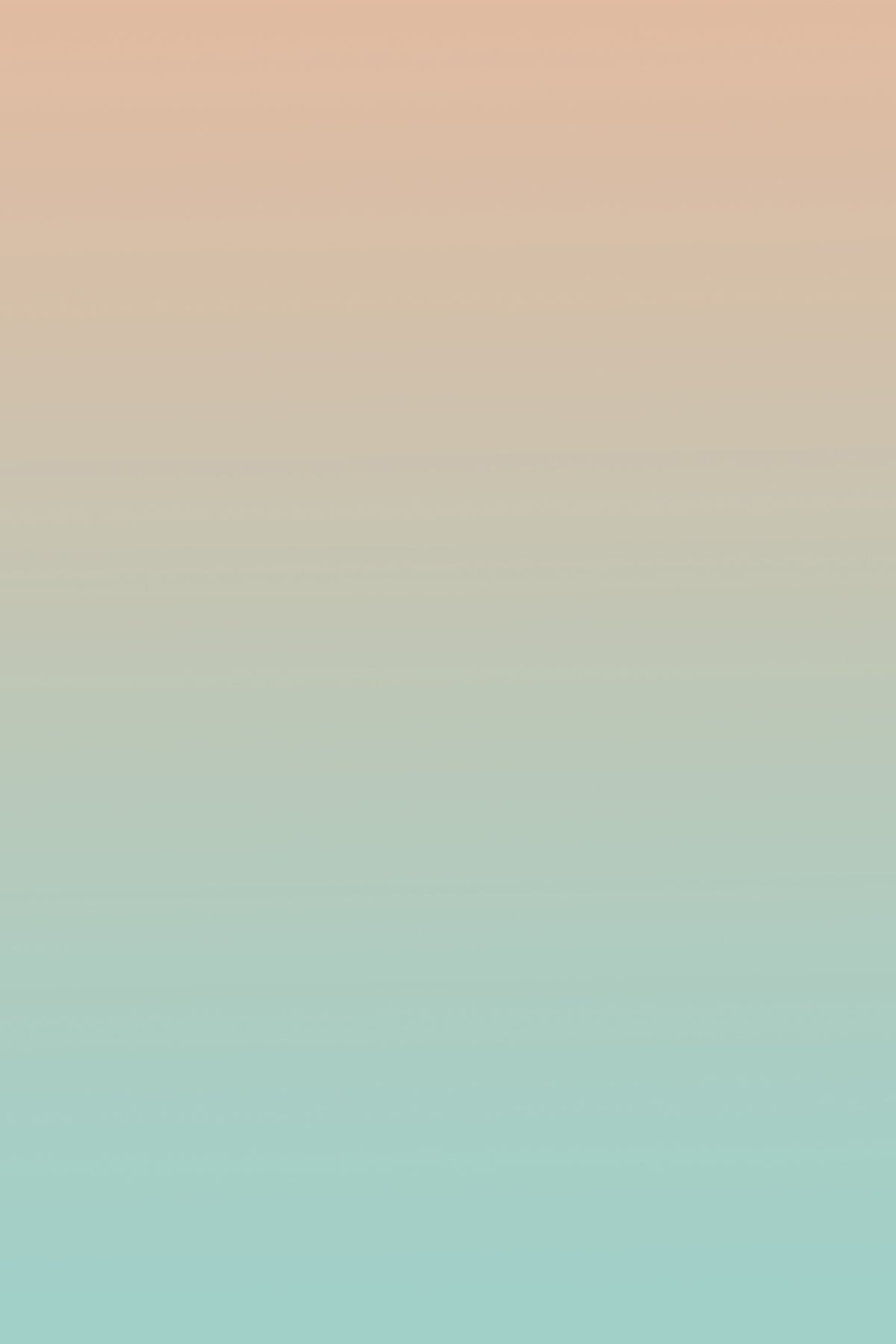 Portrait Photography Backdrop Gradient Blush Green Studio Backdrop BRP