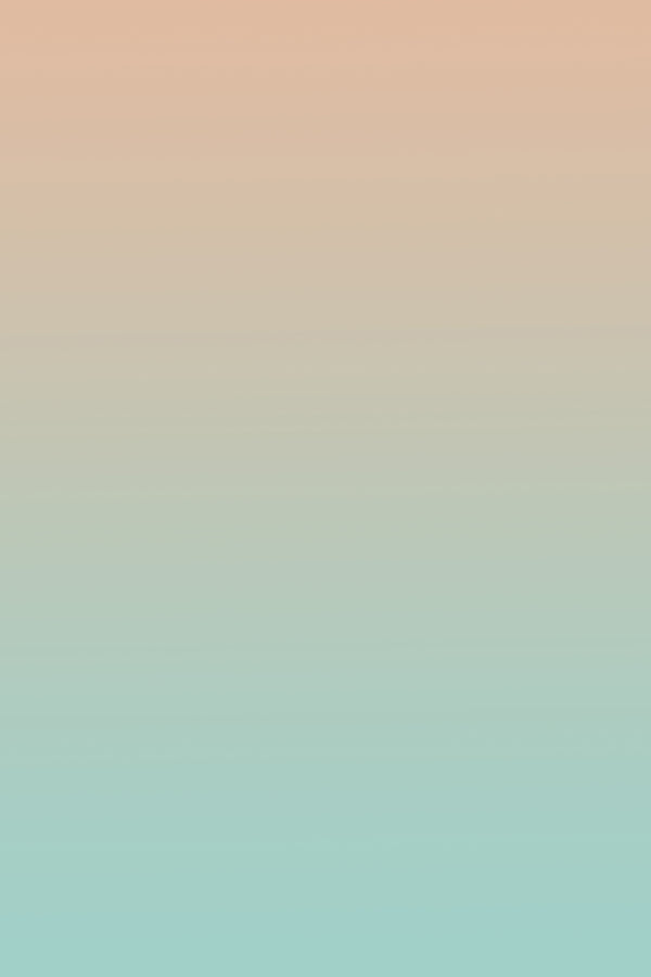 Portrait Photography Backdrop Gradient Blush Green Studio Backdrop BRP