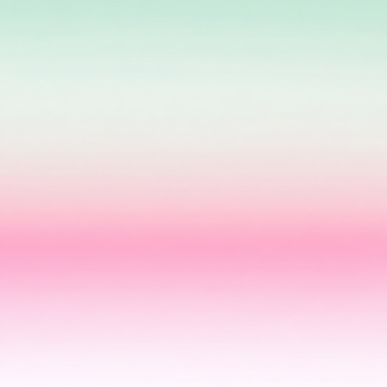 Portrait Gradient Backdrop Gradient Green Pink Backdrop BRP11-606