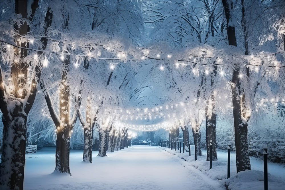 Backdrop Winter Wonderland Snowy Path Illuminated Lights Backdrop BRP1