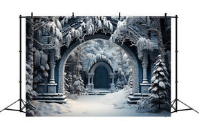 Winter Scene Photo Backdrop Castle Ruins Arch Backdrop BRP11-263