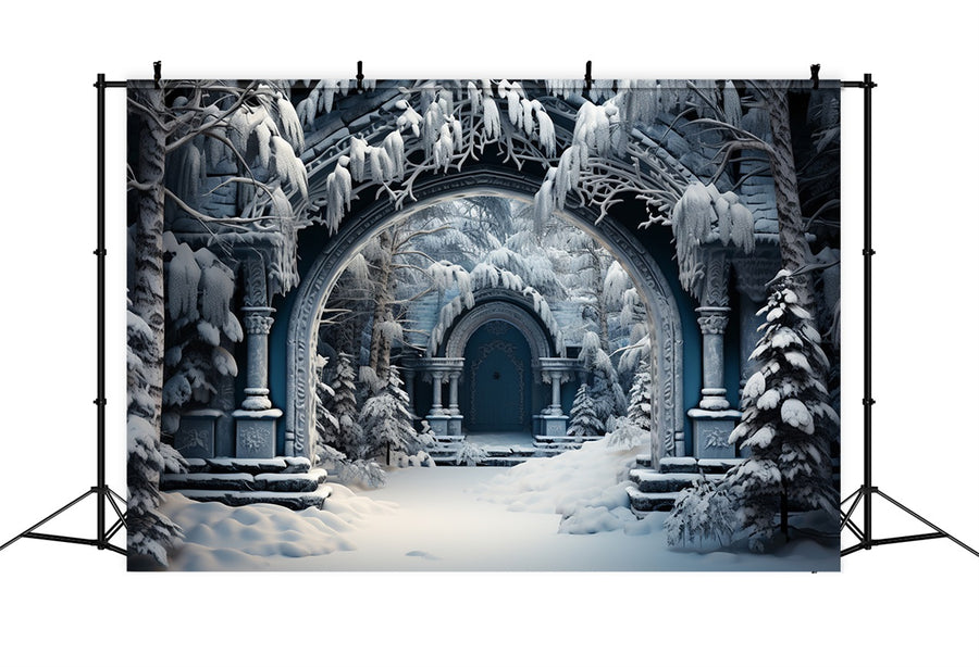 Winter Scene Photo Backdrop Castle Ruins Arch Backdrop BRP11-263