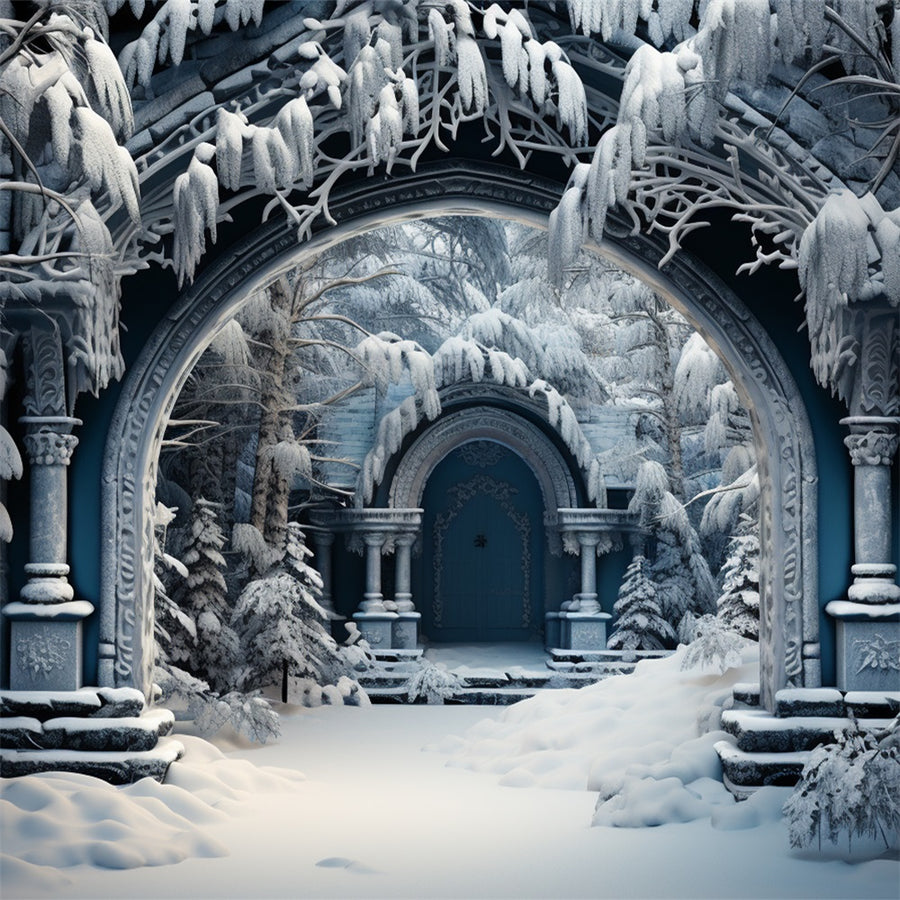 Winter Scene Photo Backdrop Castle Ruins Arch Backdrop BRP11-263
