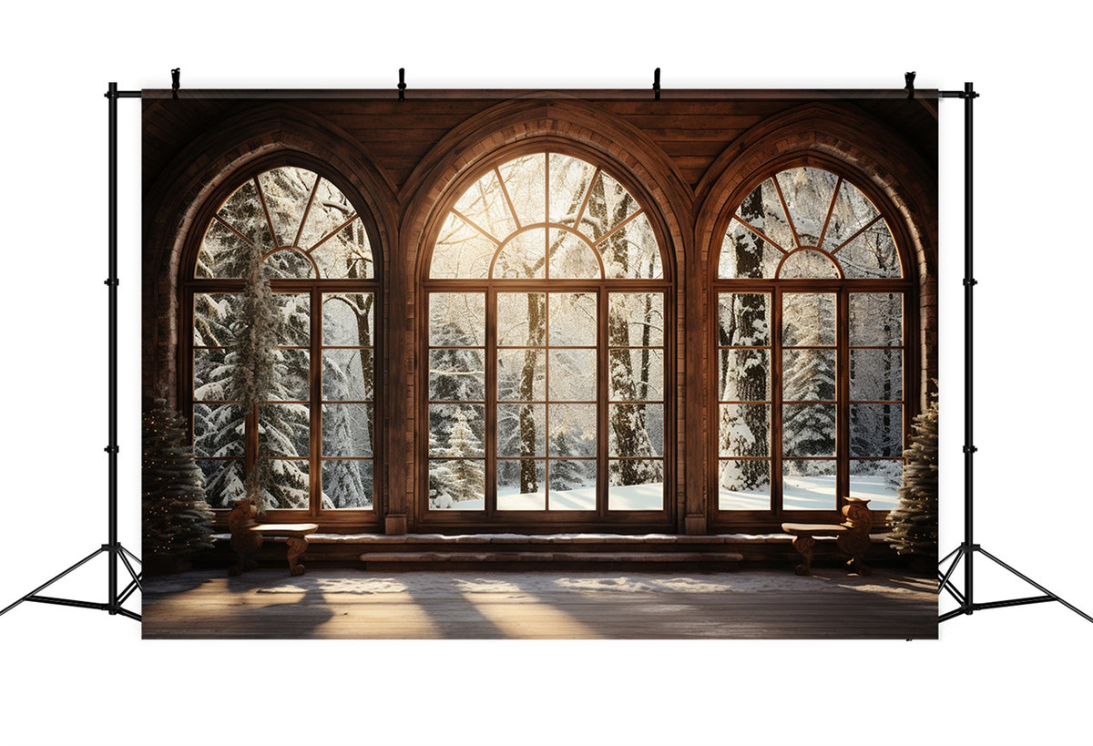 Winter Backdrop Scenes Sunlit Wooden Arched Window Backdrop BRP11-271