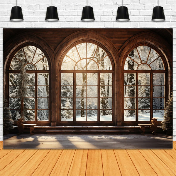 Winter Backdrop Scenes Sunlit Wooden Arched Window Backdrop BRP11-271
