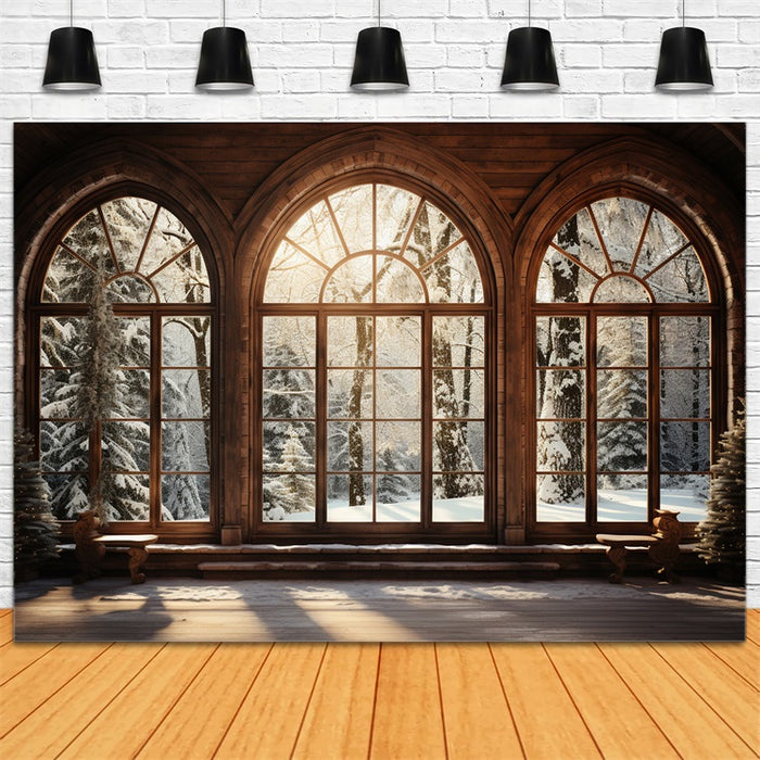 Winter Backdrop Scenes Sunlit Wooden Arched Window Backdrop BRP11-271