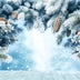 Winter Photo Backdrop Snowy Trees Falling Snowflakes Backdrop BRP11-46