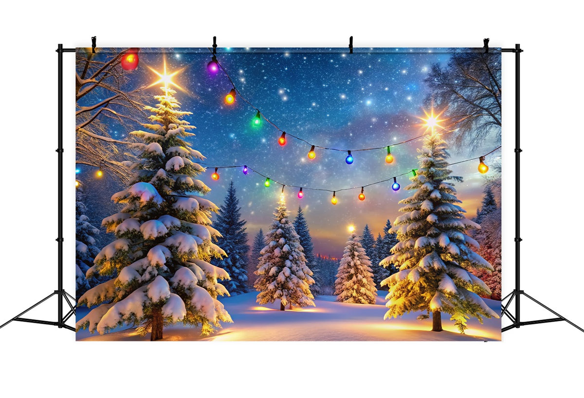 Winter Backdrop Scenes Colorful Lights Snowy Trees Backdrop BRP11-485