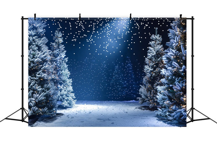 Backdrop Winter Wonderland Snowy Night Photography Backdrop BRP11-491