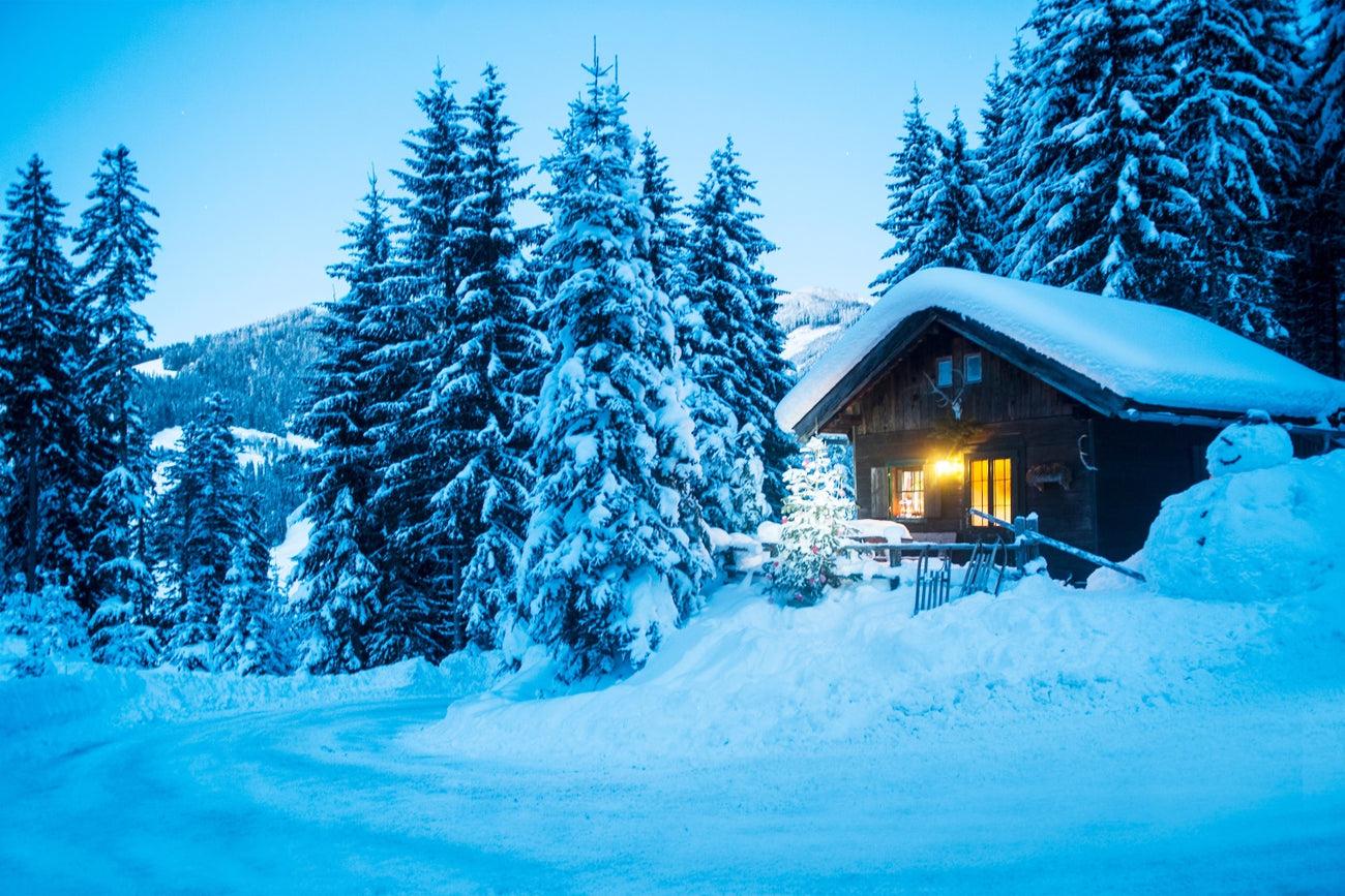 Winter Scene Backdrops Cabin Snowy Pine Forest Backdrop BRP11-494
