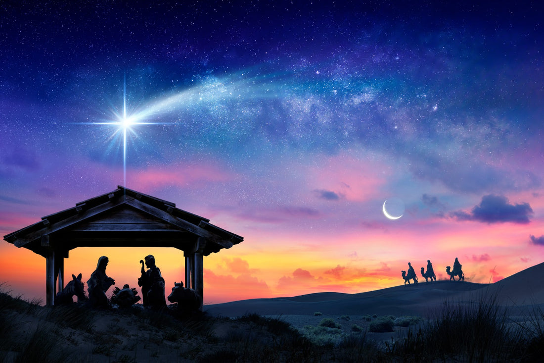 Nativity Photo Backdrop Sunset Manger Star Bethlehem Backdrop BRP12-44