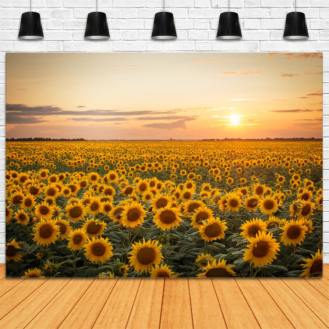 Autumn Sunflower Sunset Photography Backdrop BRP7-118 – Dbackdrop