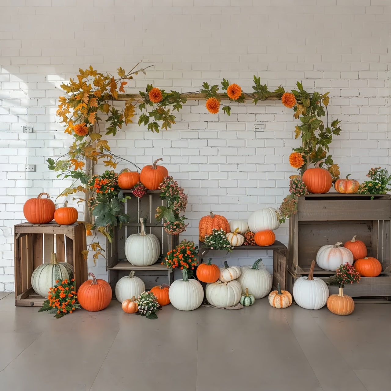 Autumn Pumpkin Shelf White Wall Photography Backdrop BRP7-141 – Dbackdrop