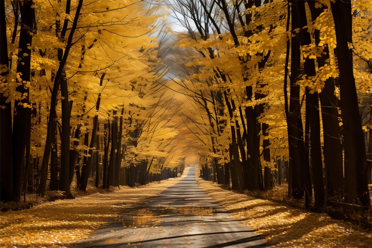 Golden Autumn Path Backdrop for Photography BRP7-202 – Dbackdrop