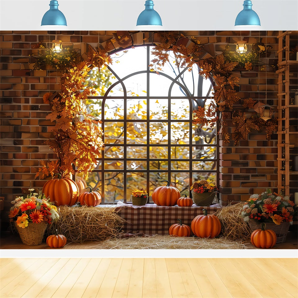 Autumn Harvest Window Display Backdrop for Photography BRP7-203 – Dbackdrop