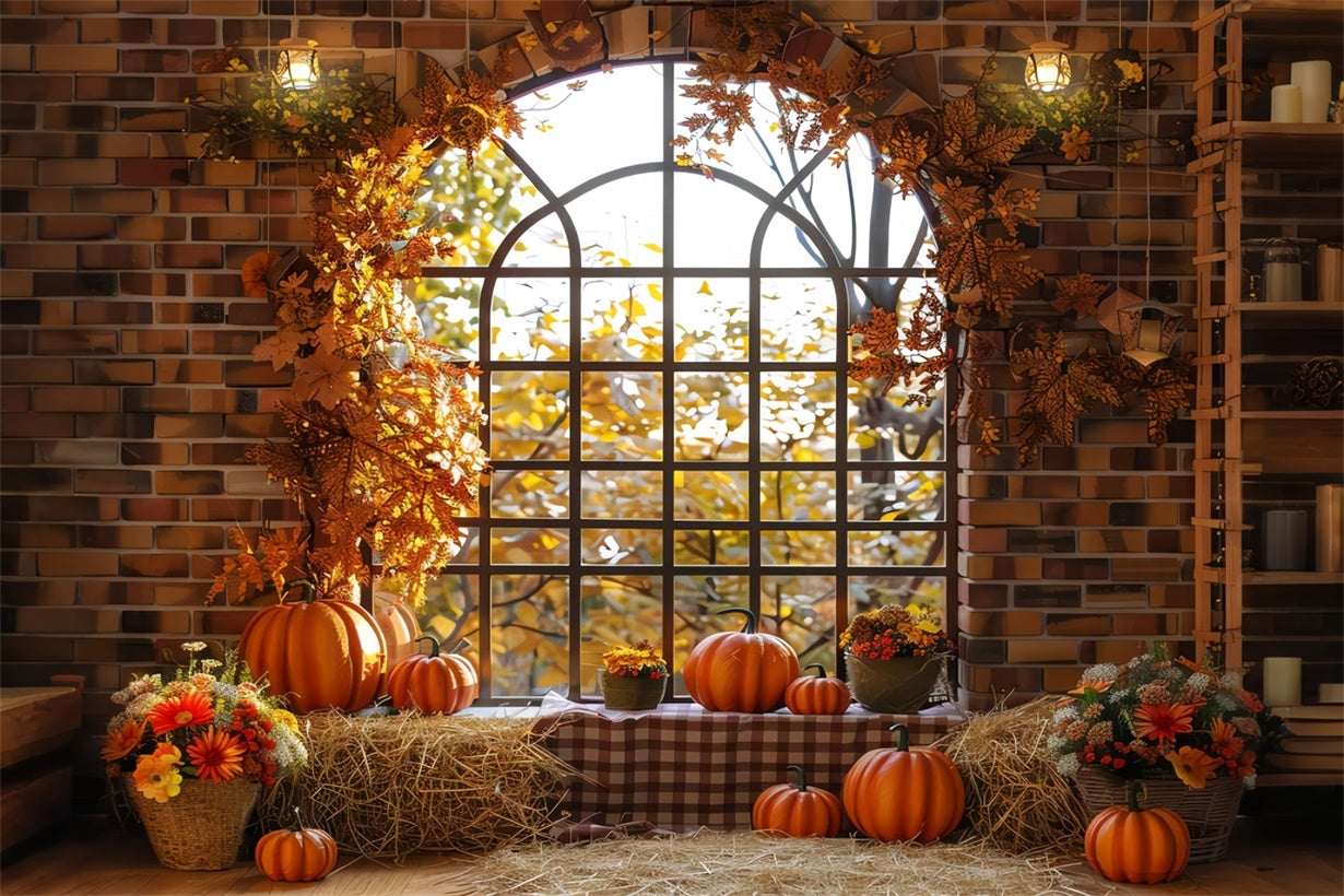 Autumn Harvest Window Display Backdrop for Photography BRP7-203 – Dbackdrop