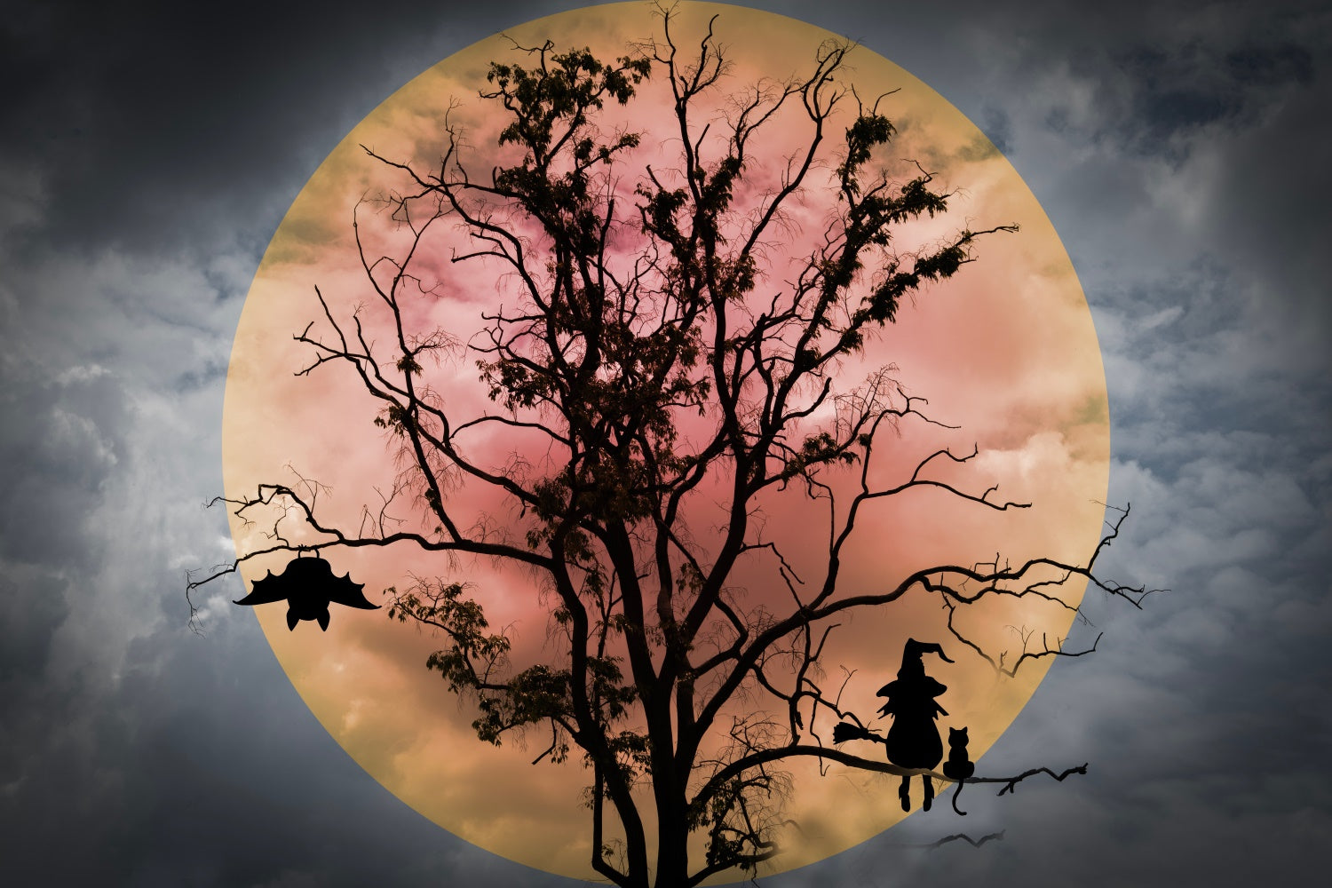 Halloween Witch and Bats Red Moon Backdrop BRP8-275 – Dbackdrop