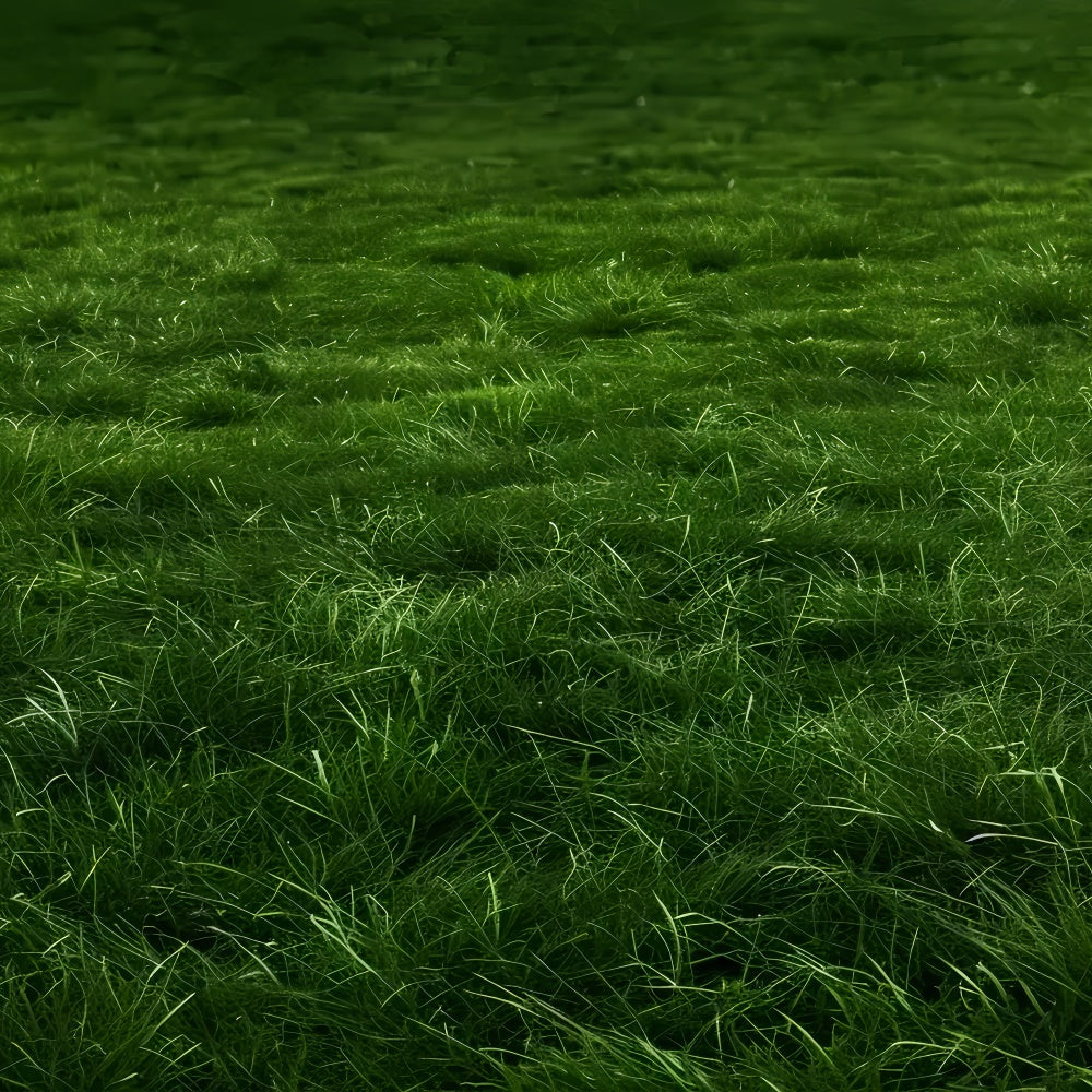 Fresh Green Grass Lawn Outdoor Floor Backdrop BRP8-288 – Dbackdrop