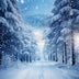 Winter Walk Through Snowy Forest Path Backdrop BRP9-221