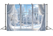 Clear Winter Day Through Glass Window Backdrop BRP9-232