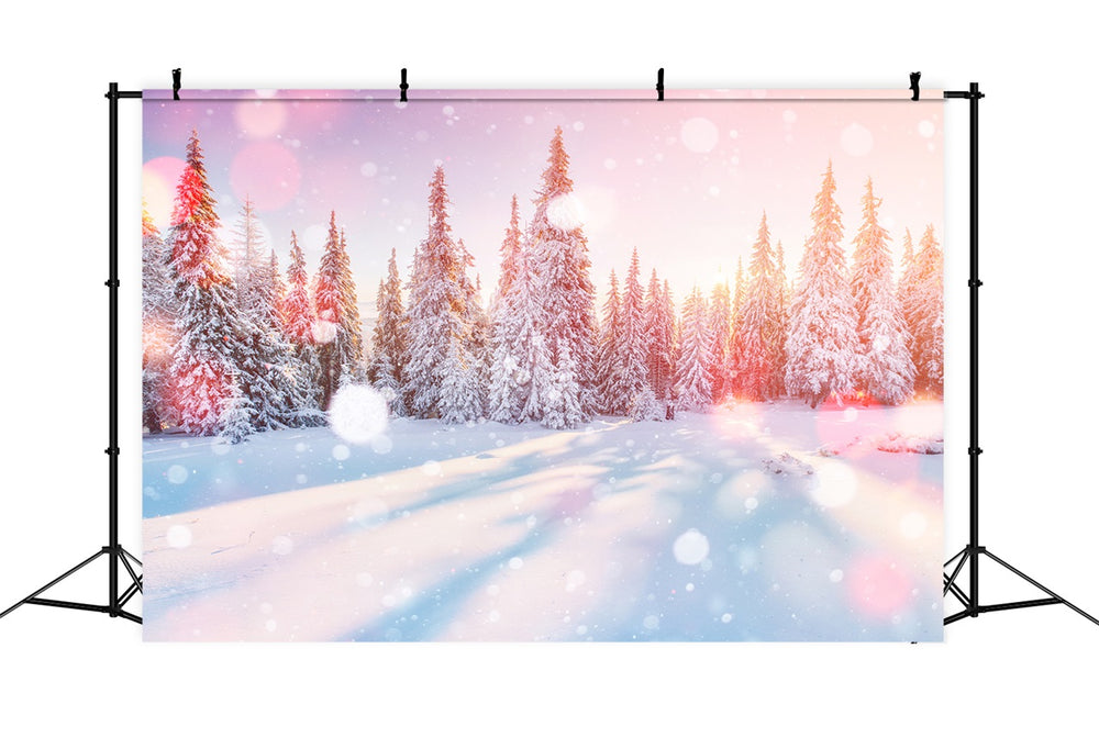 Morning Light Winter Snowy Pine Forest Backdrop BRP9-299