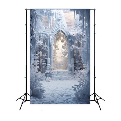 Snowy Winter Arch Surrounded Icy Trees Backdrop BRP9-378