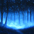 Photography Backdrops Forest Misty Blue Forest Backdrop CSH4-101