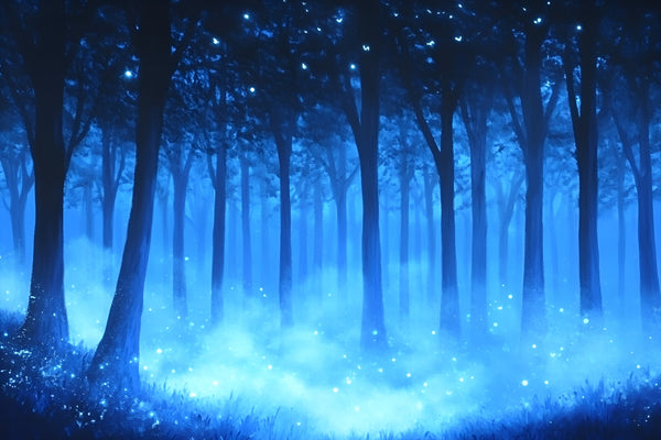 Photography Backdrops Forest Misty Blue Forest Backdrop CSH4-101