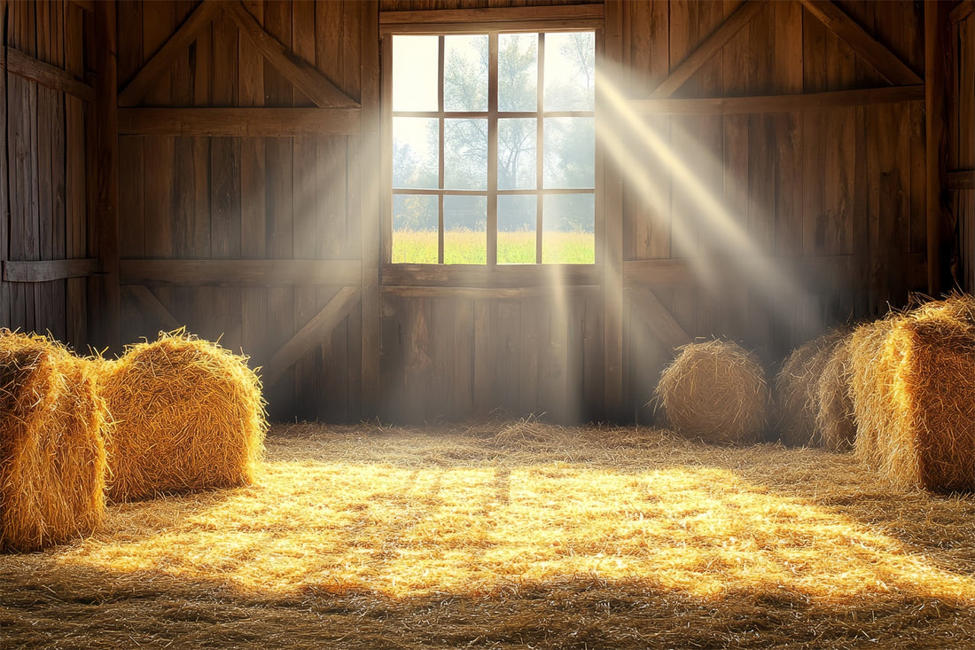 Barn Backdrops – Rustic Wedding & Farm Party Decor – Page 2