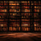 Old School Backdrops Library Antique Bookshelf Backdrop CSH4-413