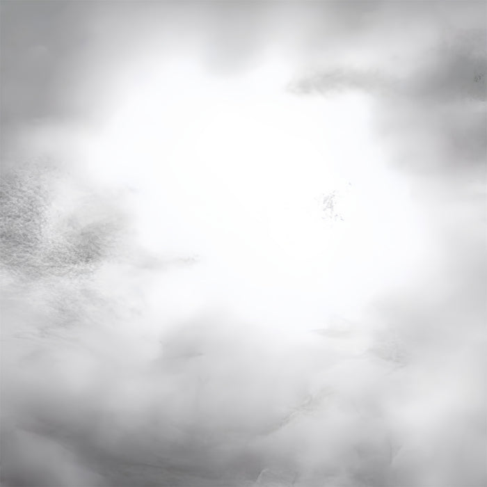 Grey Backdrop Photography Misty Fog Dream Backdrop CSH57-24