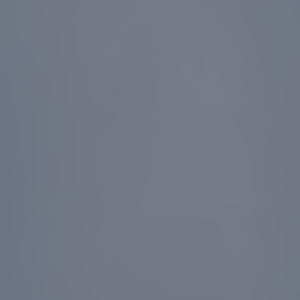 Grey Backdrop Photography Misty Gray Calm Backdrop CSH57-43