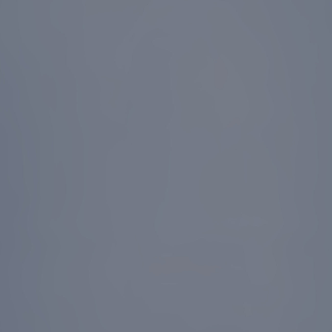Grey Backdrop Photography Misty Gray Calm Backdrop CSH57-43