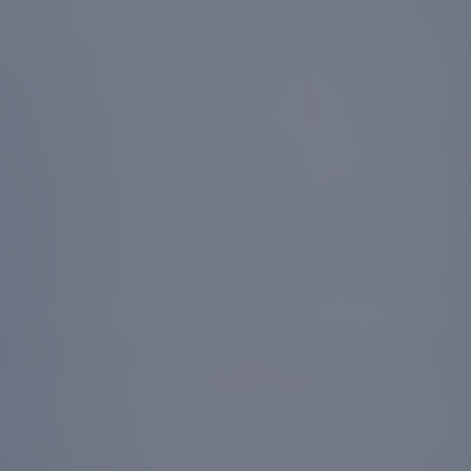 Grey Backdrop Photography Misty Gray Calm Backdrop CSH57-43