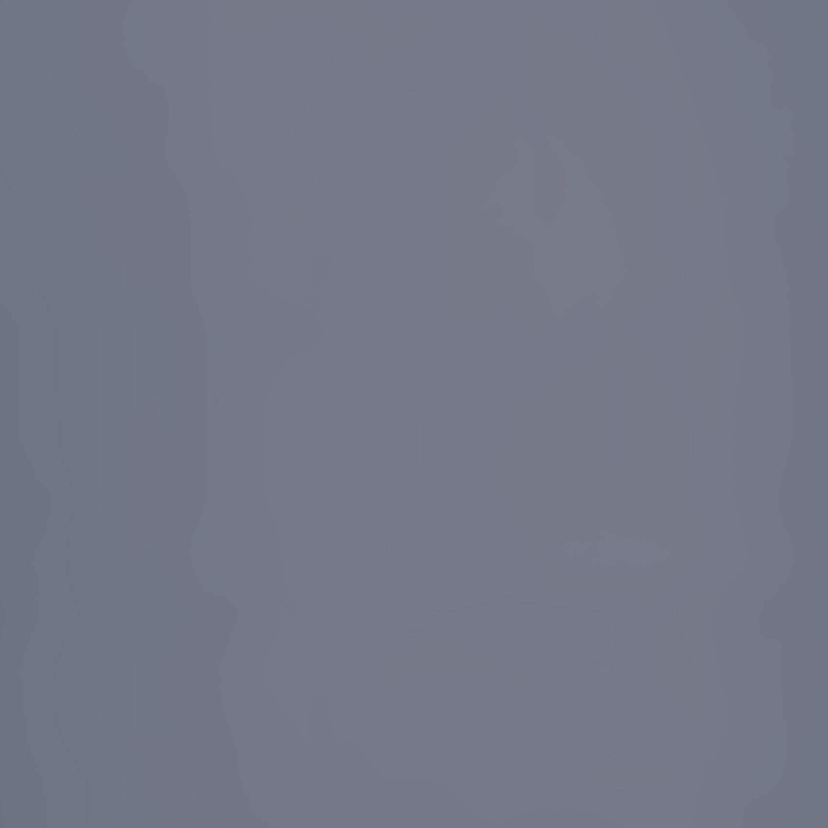 Grey Backdrop Photography Misty Gray Calm Backdrop CSH57-43