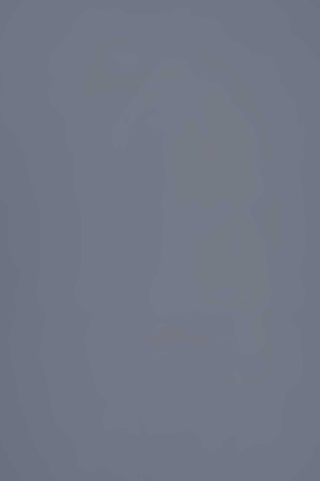 Grey Backdrop Photography Misty Gray Calm Backdrop CSH57-43