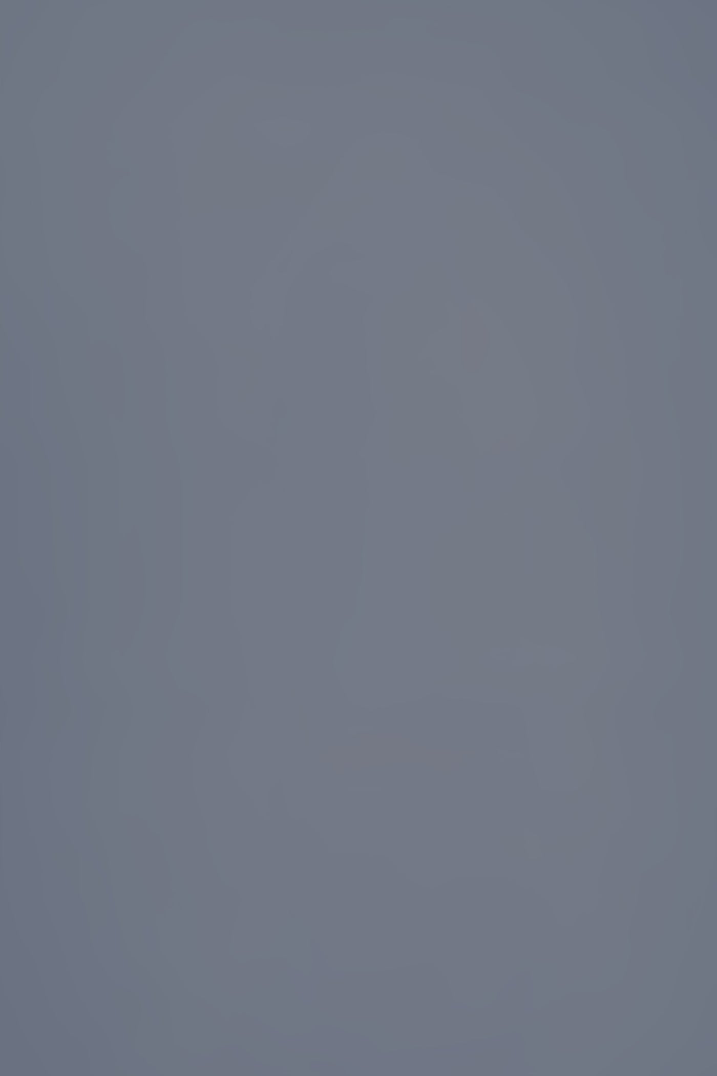 Grey Backdrop Photography Misty Gray Calm Backdrop CSH57-43