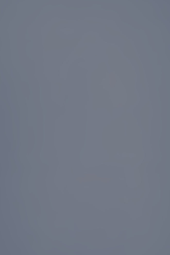 Grey Backdrop Photography Misty Gray Calm Backdrop CSH57-43