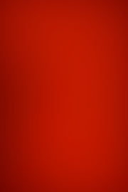 Red Backdrop Photoshoot Scarlet Red Vibrant Backdrop CSH57-46