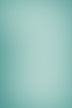 Green Photo Backdrop Mint Green Fresh Backdrop CSH57-47