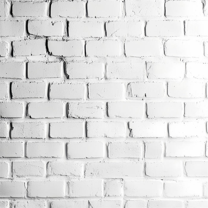 White Brick Wall Backdrop Classic Studio Brick Backdrop CSH6-154