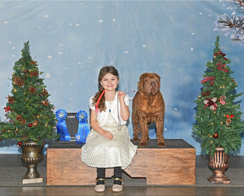 Snowflakes Bokeh Christmas Tree Photo Backdrop DBD-19307